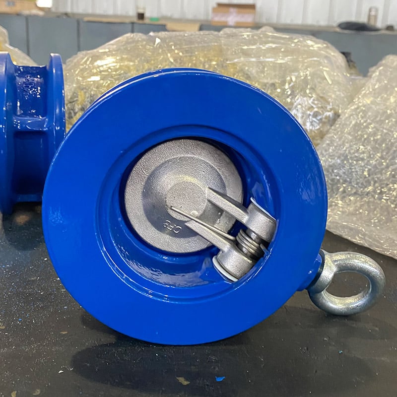 Wafer Type Single Disc Swing Check Valve Tfw Valve