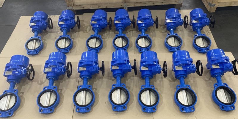 Butterfly Valve Torque: Calculation & Chart Standards Tfw Valve