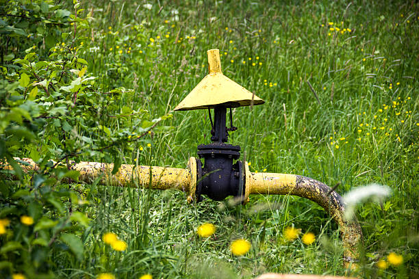 OS&Y vs NRS Gate Valve – Key Differences ExplainedTfw Valve