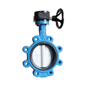 Butterfly Valve End Connection Types ExplainedTfw Valve